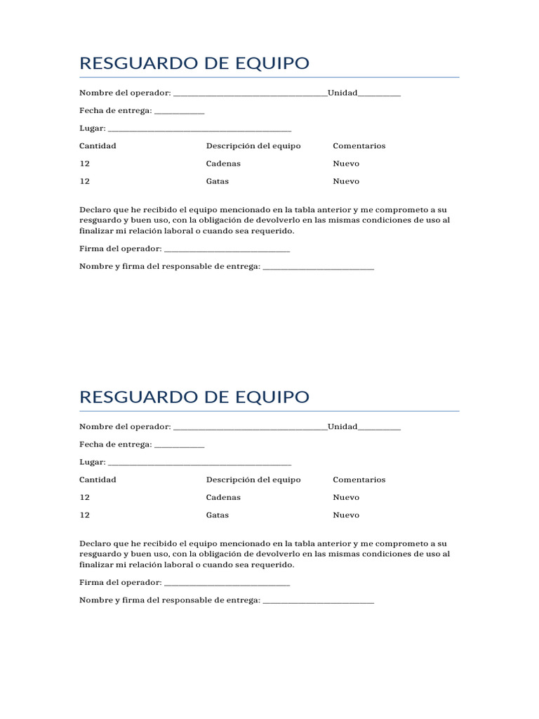 Formato Resguardo Equipo Pdf