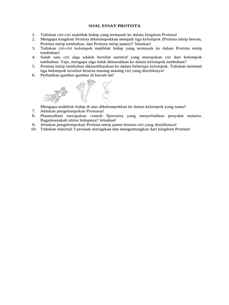 Soal Biologi Protista Dan Genetika - 025137 | PDF