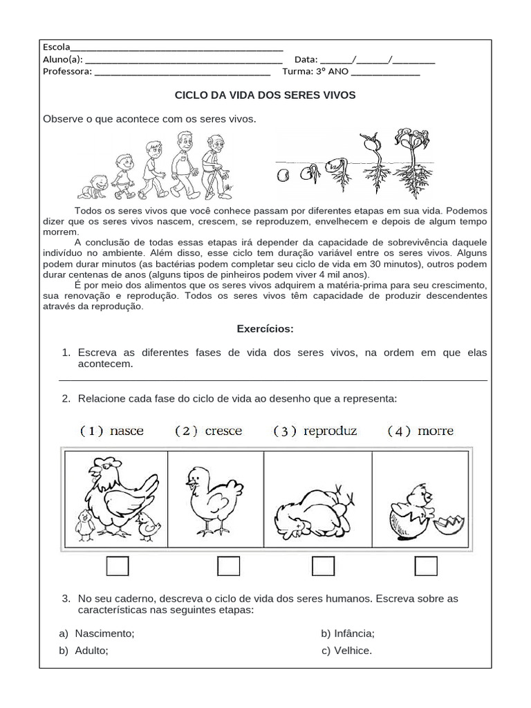 Ciclo da Vida dos Seres Vivos - 3º Ano | PDF