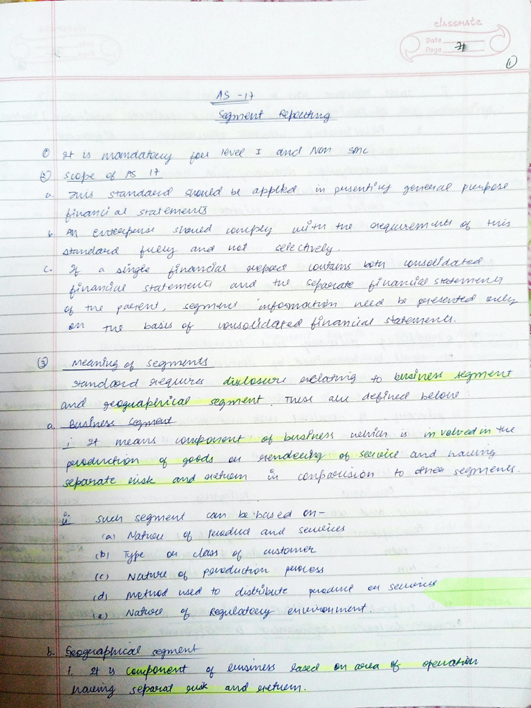 As 17 Segment Reporting | PDF