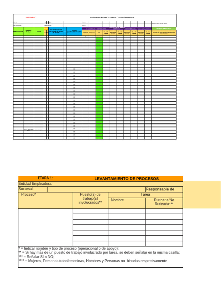 8 - Form - Miper (Guía Isp v.3) d44 v.1 (Formato Tipo 1) | PDF | Riesgo | Radiación