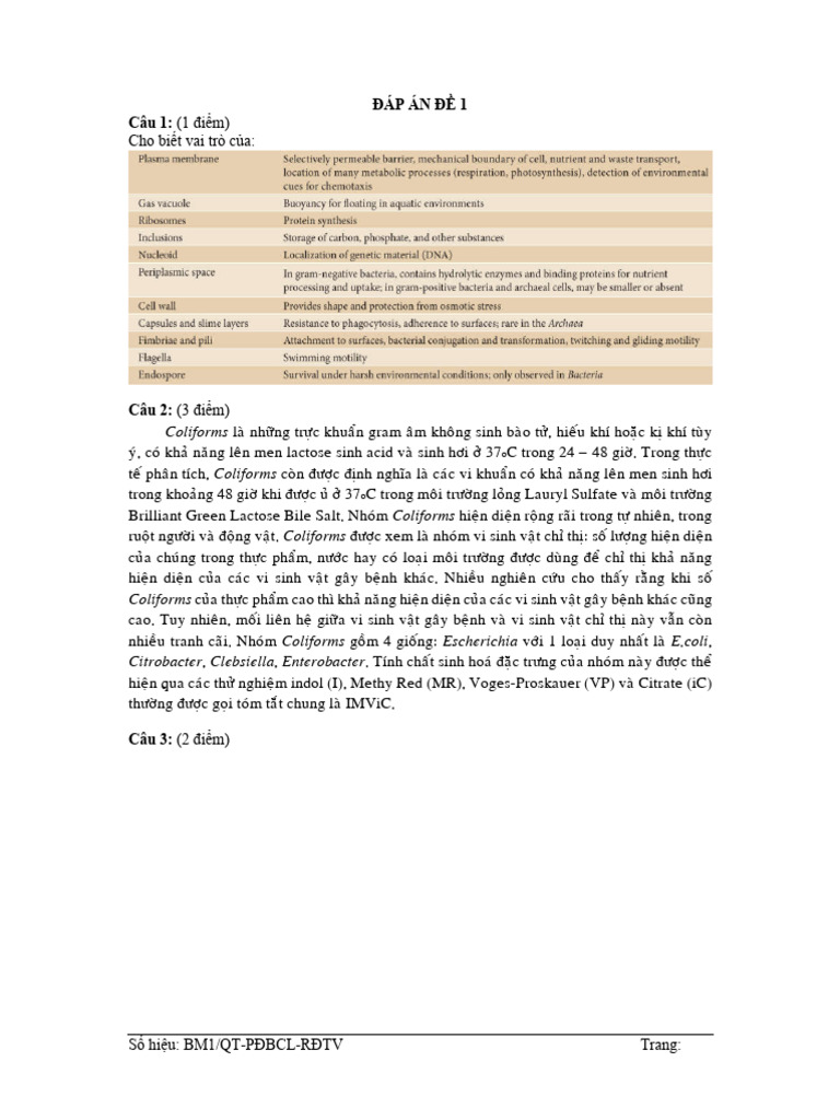 Dap An VSTP (Dai Tra) HK2 2016-2017 | PDF