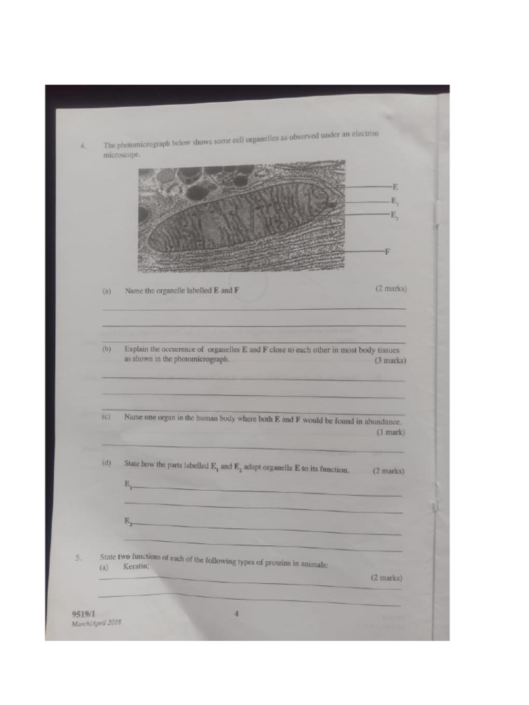 IS Bio assignment. THE CELL | PDF