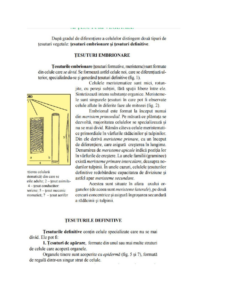 biologie tesuturi | PDF