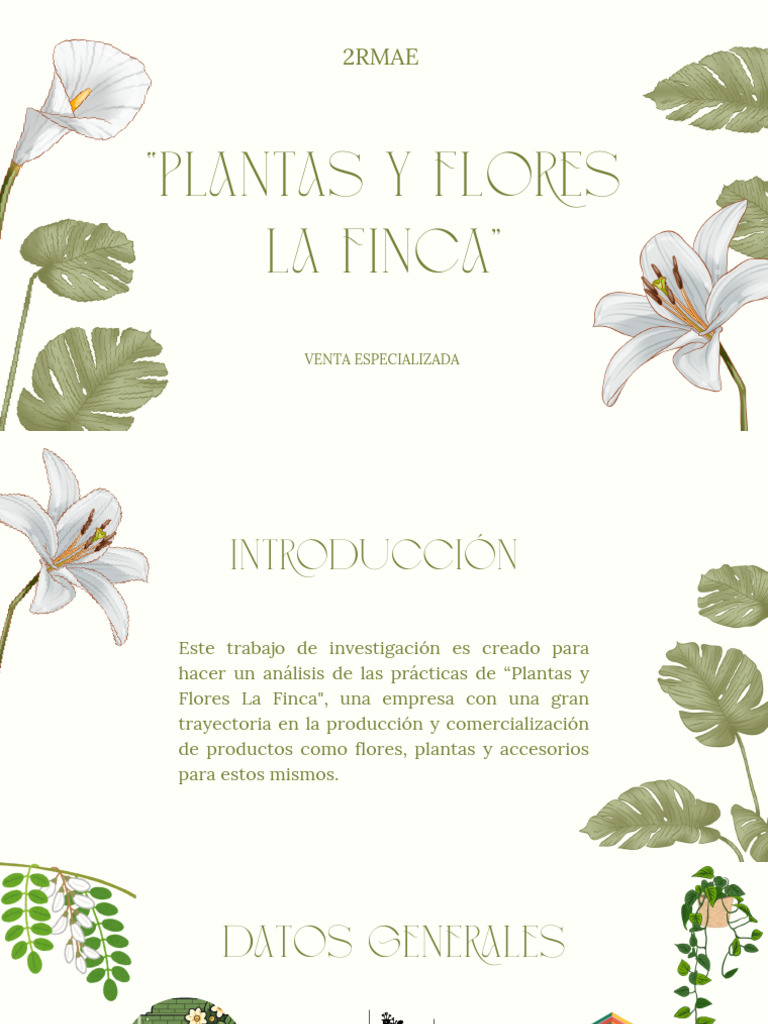 Green and White Illustrative Botany Flowers Brainstorm Presentation PDF ...