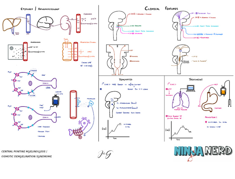 CENTRAL PONTINE MYELINOLYSIS OSMOTIC DEMYELINATION Part 1 atf | PDF