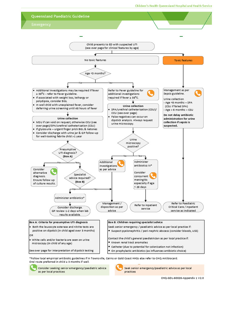 Urinary Tract Infection Flowchart | PDF | Urinary Tract Infection ...