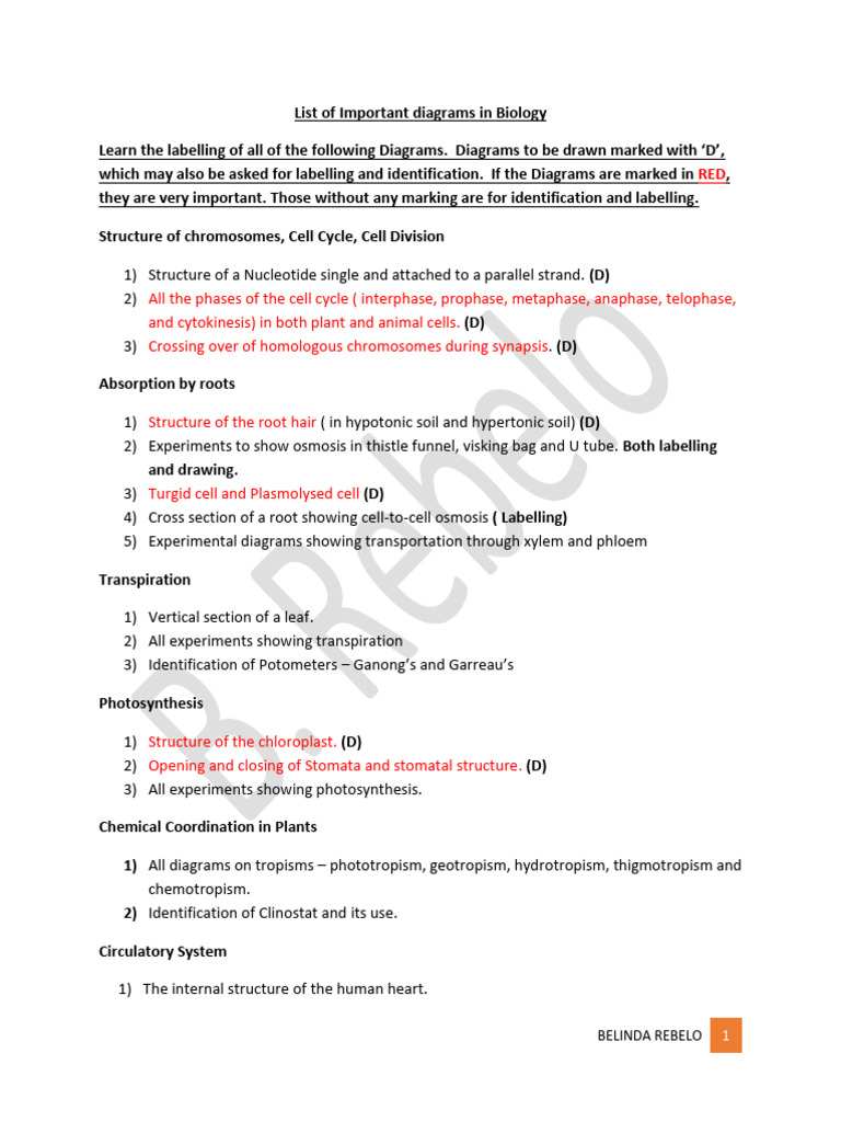 Important Biology Diagrams for NEET 2024 | PDF | Kidney | Endocrine System
