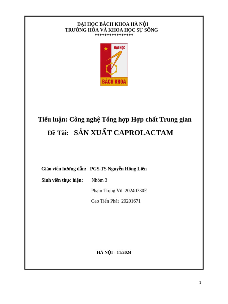 Tiểu Luận Caprolactam FINALll | PDF
