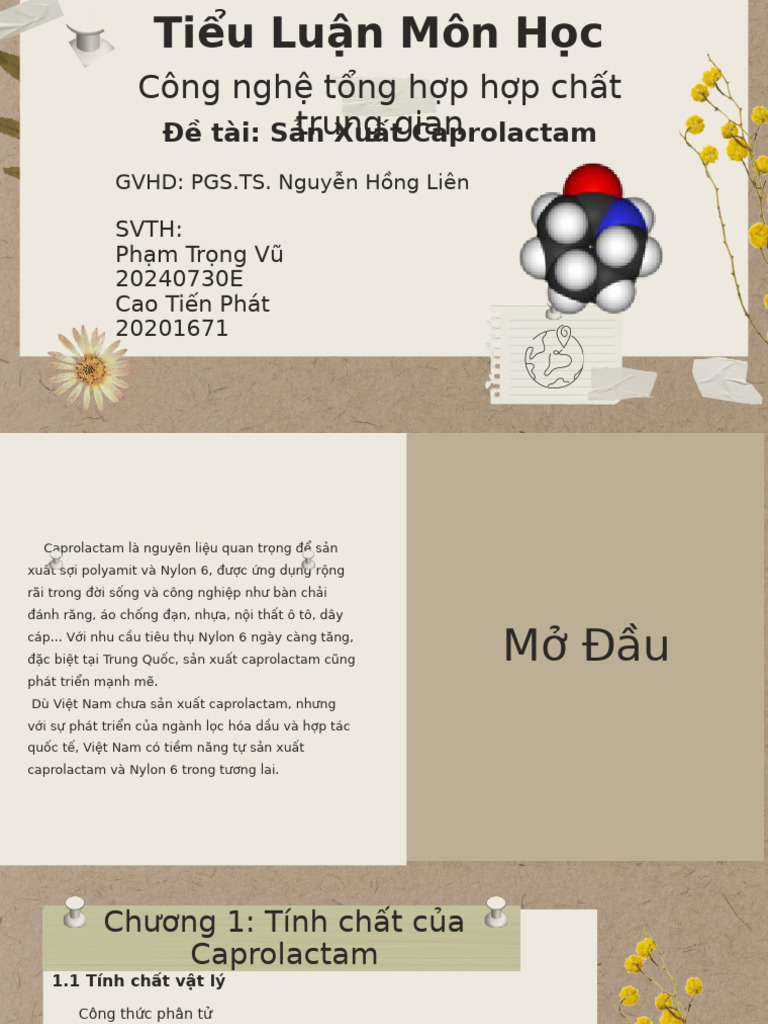 Caprolactam | PDF