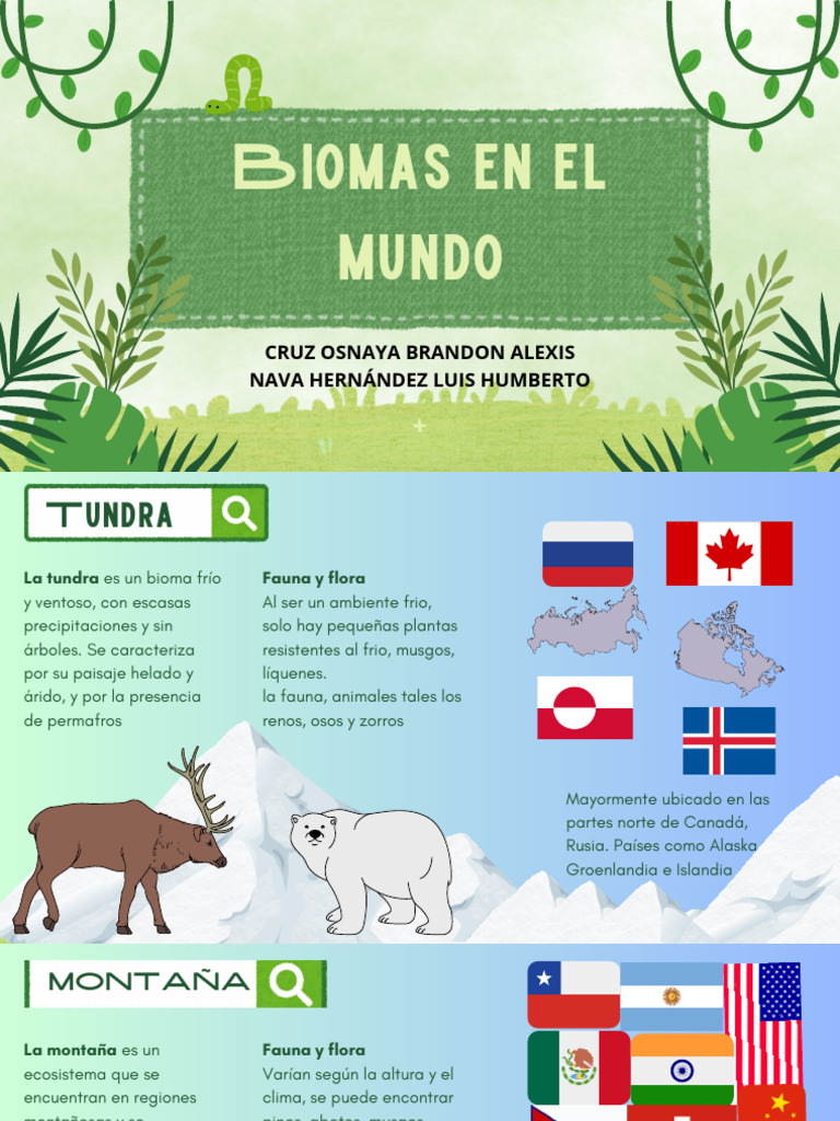 Biomas en El Mundo | PDF | Sabana