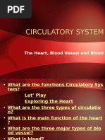 Three Types of Circulation Explained | PDF