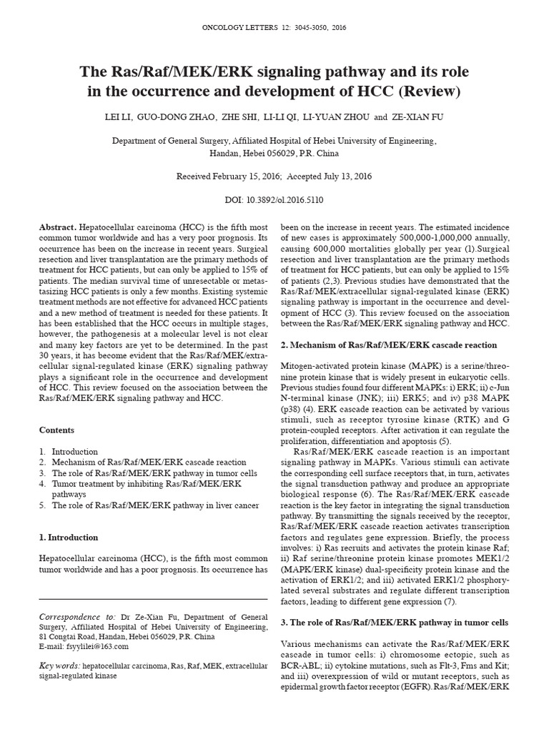 The RasRaf MEKERK Signaling Pathway and Its Role in The Occurrence and Development of HCC | PDF ...