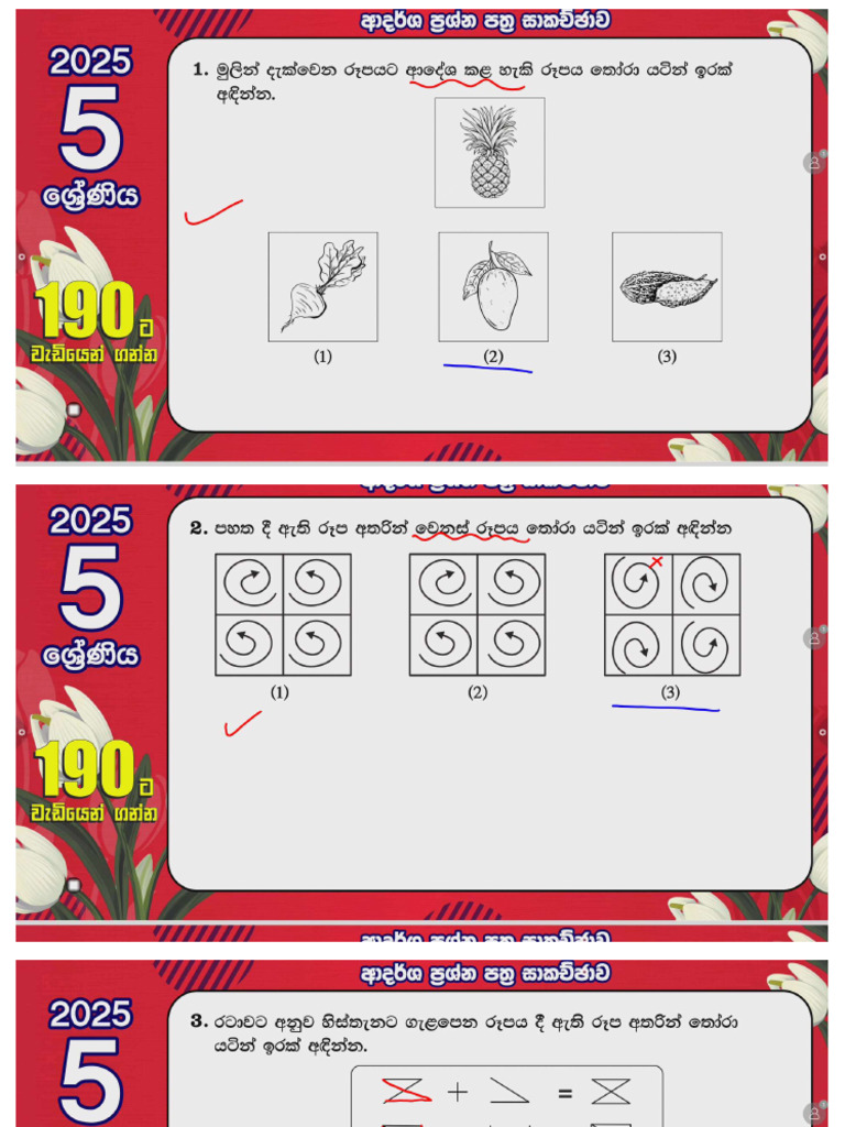 Grade 5 Paper i Answers 21-02-2025 | PDF