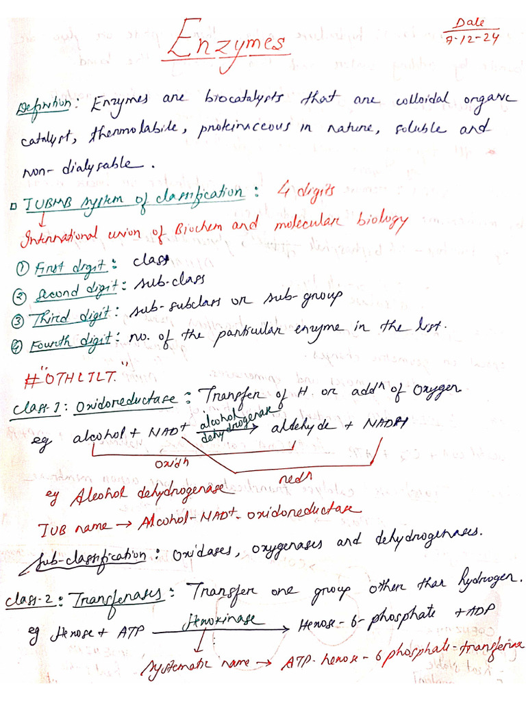 Enzymes Biochemistry | PDF