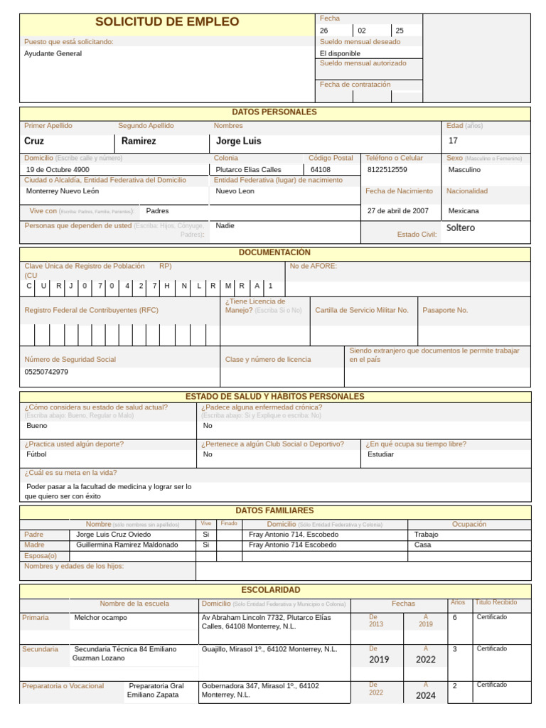 SNE_SOLICITUD_DE_EMPLEO_PLANTILLA_PDF (2) | PDF