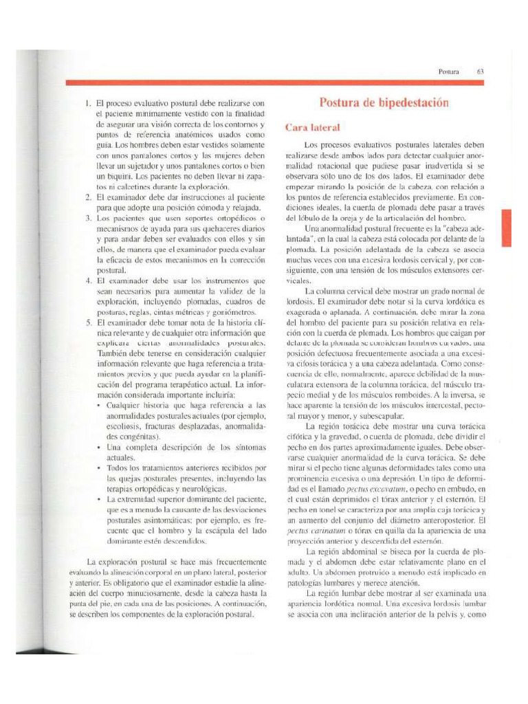 Capítulo Evaluación Postura Palmer | PDF