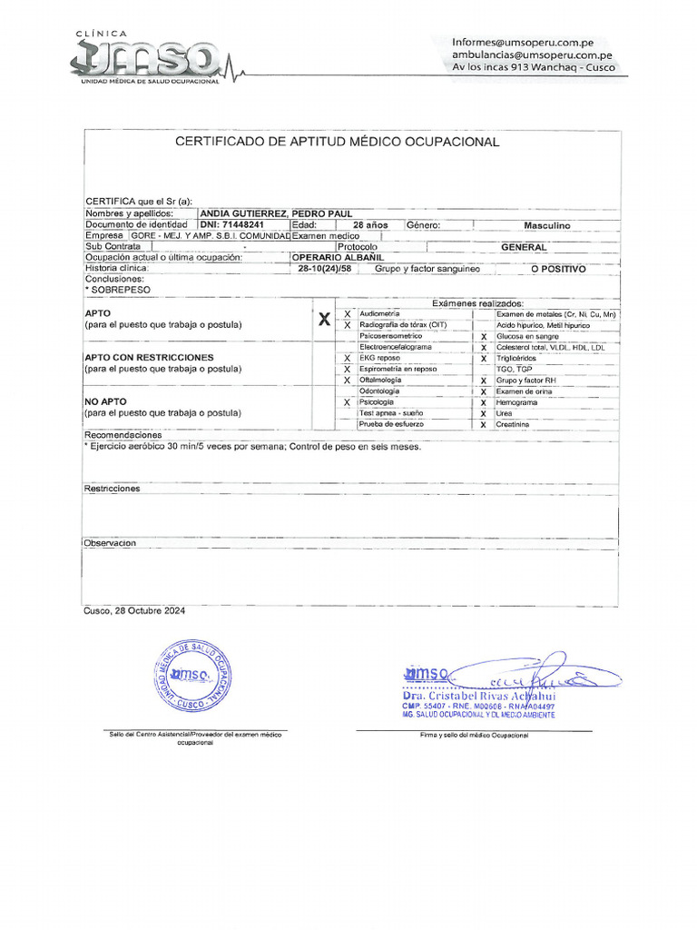 Gorehanccoyo28 Andia Gutierrez Pedro Paul | PDF