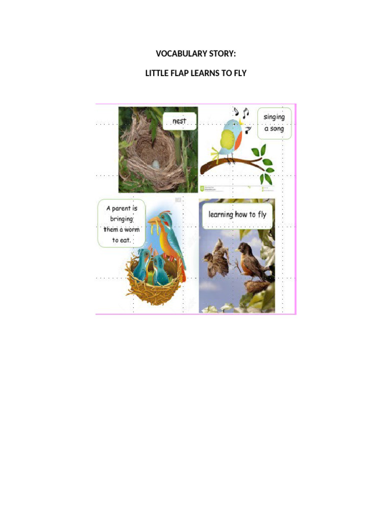 Vocabulary U1 W1 | PDF