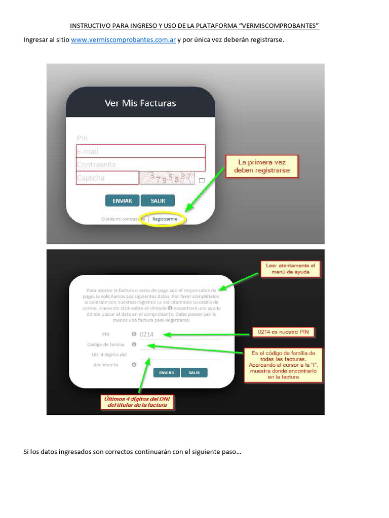 Instructivo para Ingreso y Uso de La Plataforma | PDF