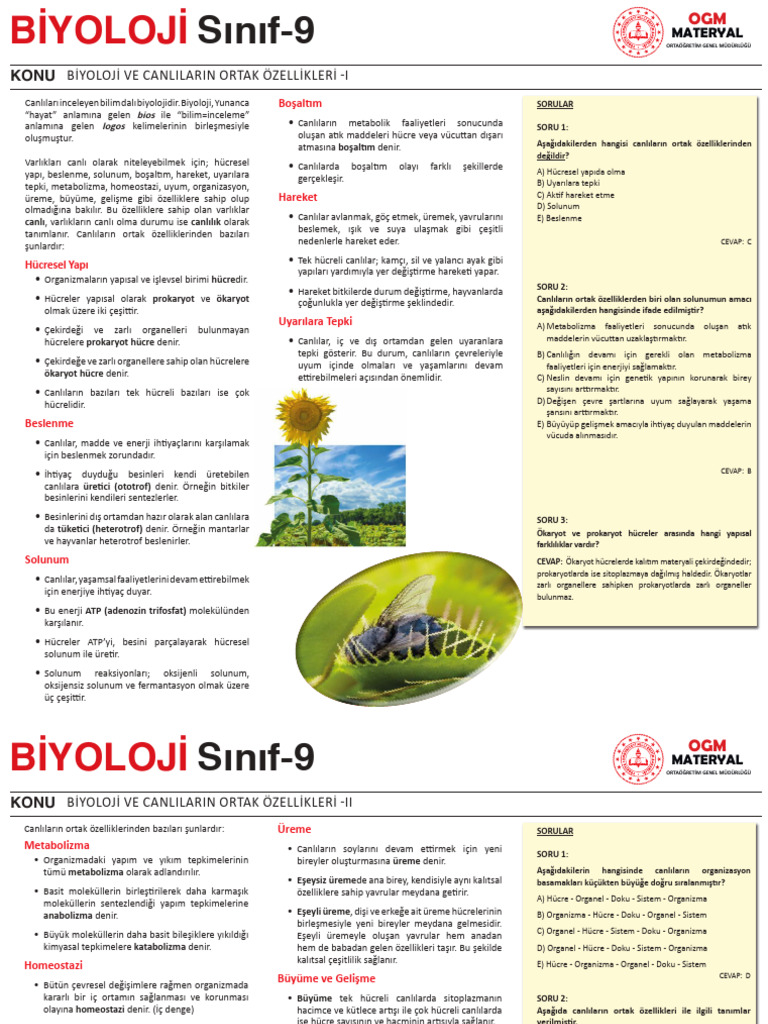 Ogm 9 Sinif Biyoloji | PDF