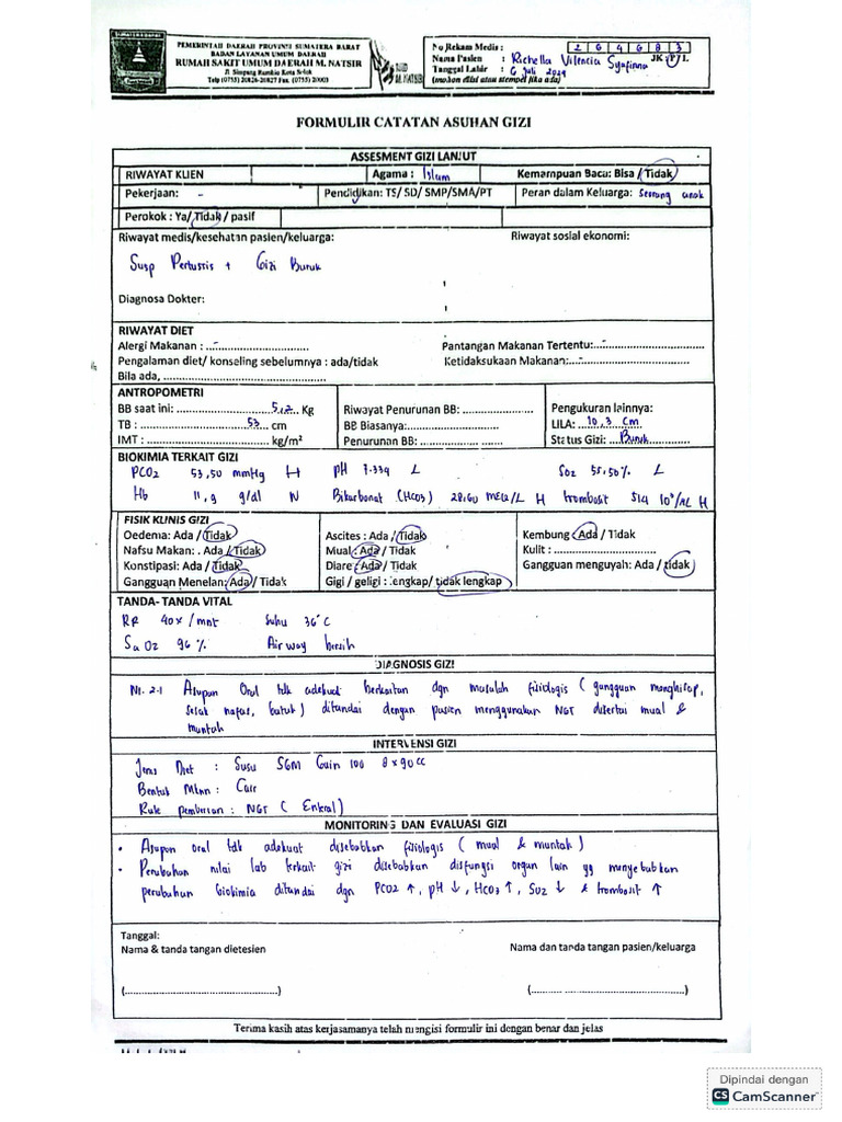 Scan Asuhan Gizi Ariva | PDF