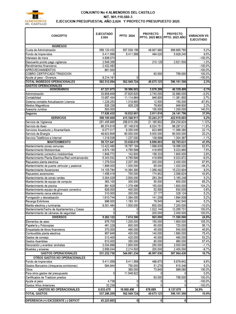 Ejecucion Pptal 2024 y Proyecto Ppto 2025 (2) - 250218 - 055655 | PDF