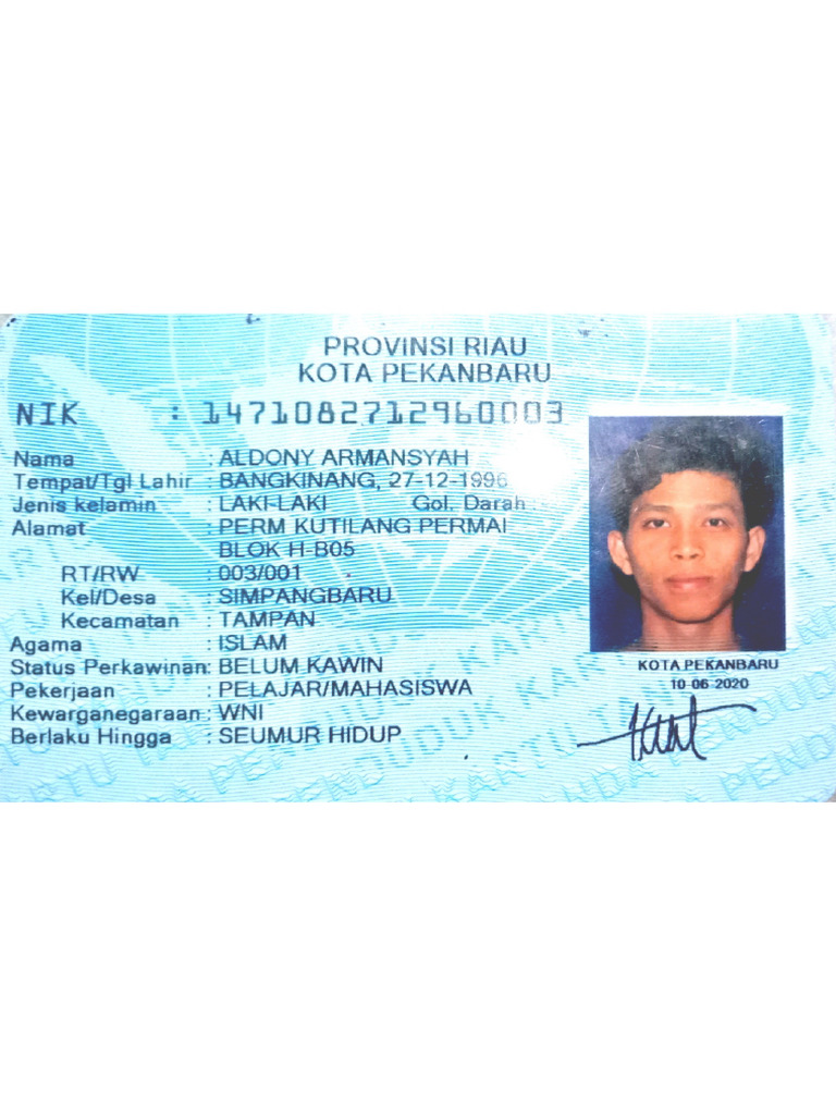 Gallery 20250311 011421 | PDF