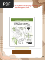 Amoeba Sisters Cell Cycle-1 | PDF | Mitosis | Chromosome
