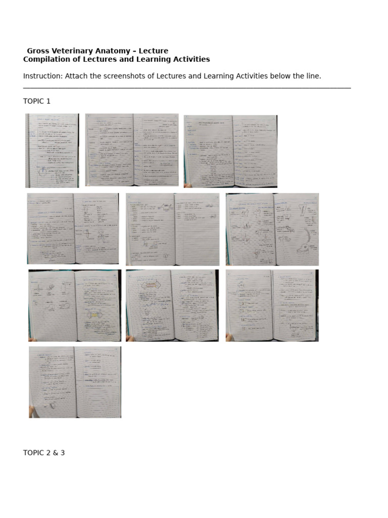 Instruction: Attach The Screenshots of Lectures and Learning Activities ...