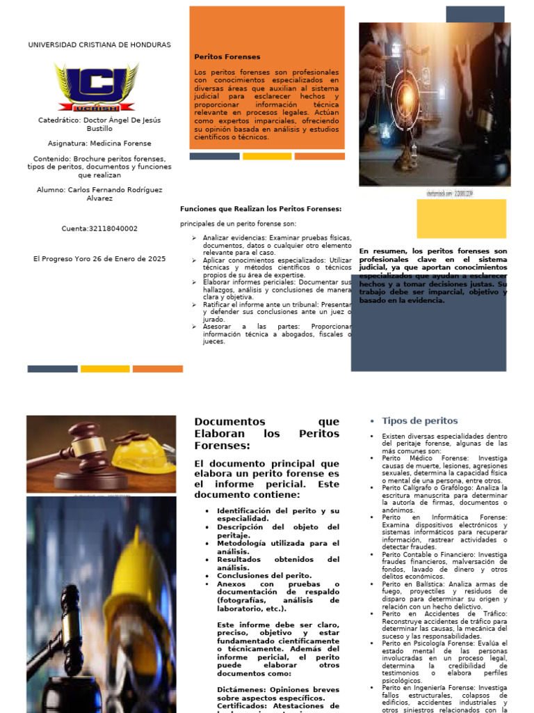 Carlos Rodriguez Brochure Peritos Forenses Tipos de Peritos Documentos ...
