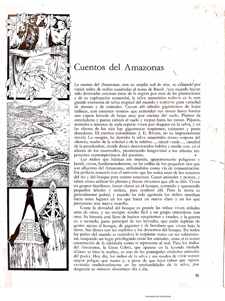 Cuentos Del Amazonas | PDF