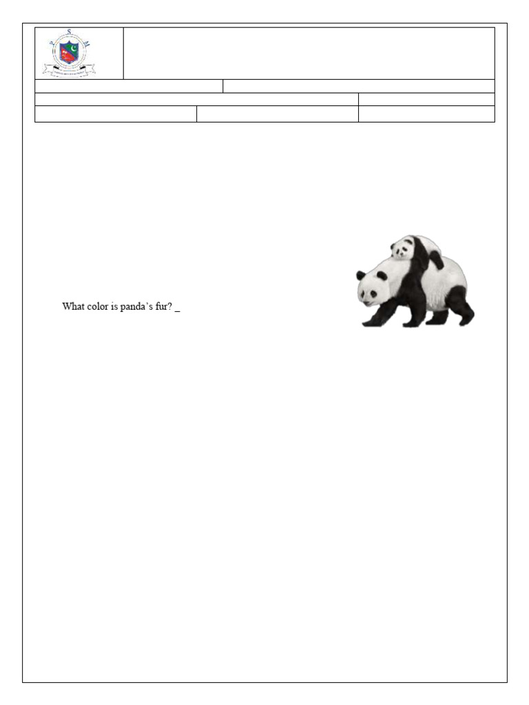Grade 2 Revision Worksheet Final Term | PDF | Giant Panda | Linguistic ...