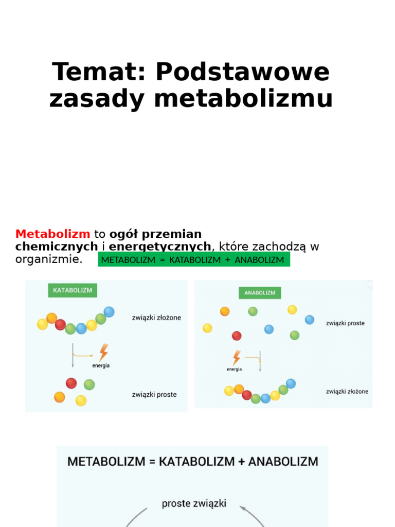 1 Podstawowe Zasady Metabolizmu | PDF