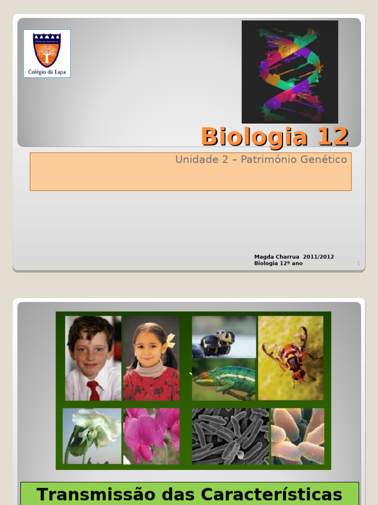 aula24_bio12_ano1112 | PDF | Genética | Biologia