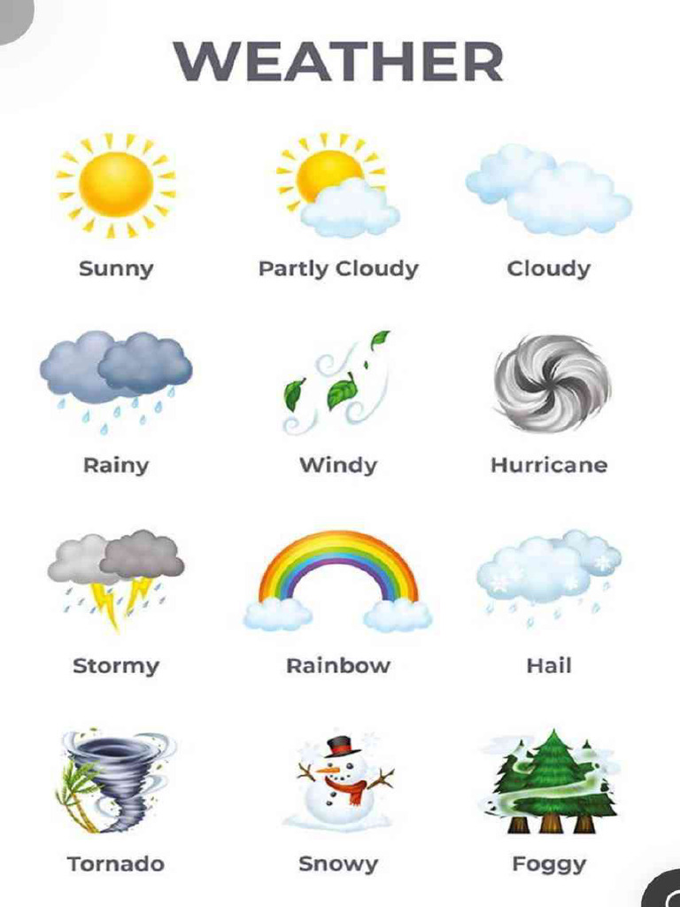 W Eather: Sunny Partly Cloudy Cloudy | PDF