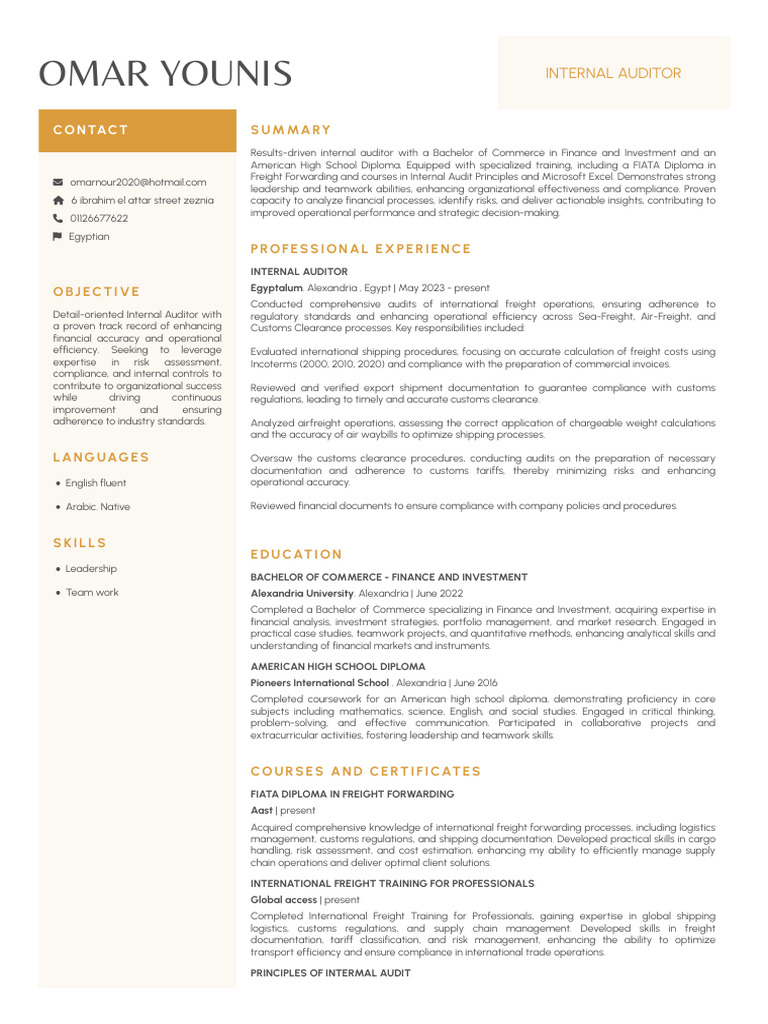 Omar Younis | PDF | Internal Audit | Audit