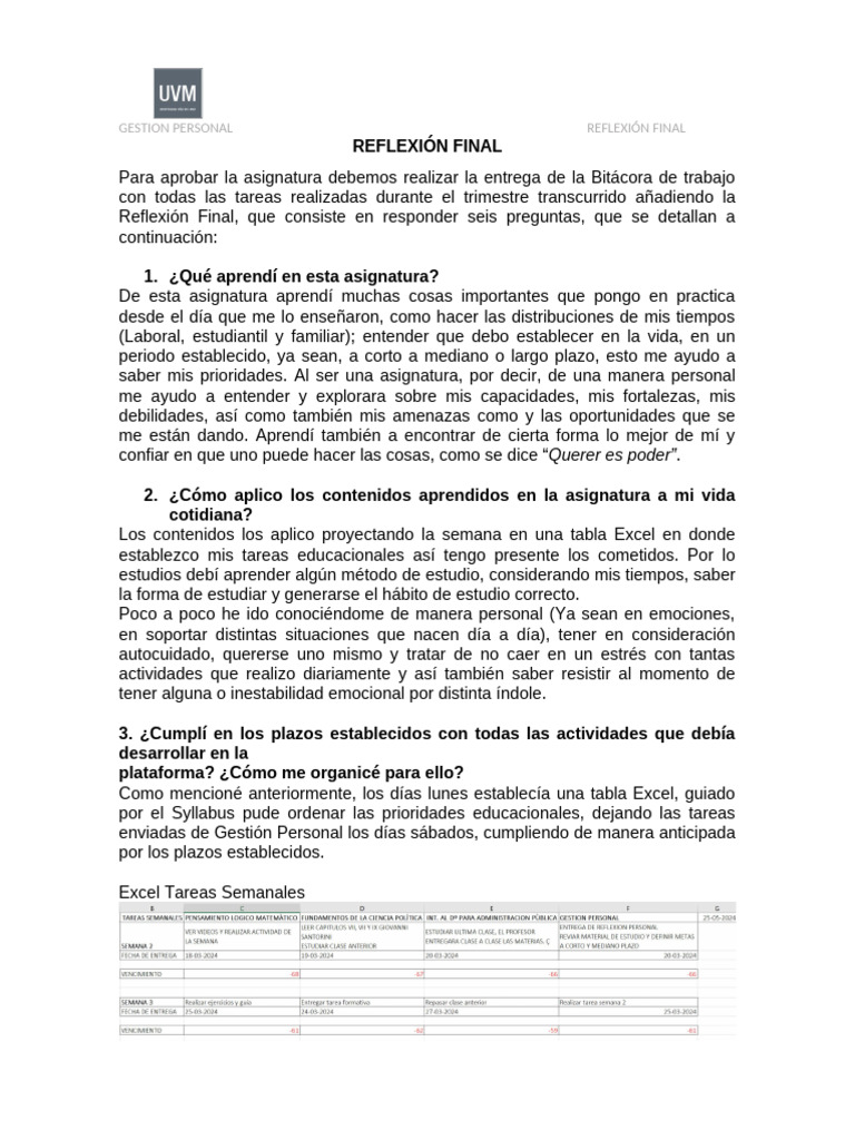 Labbe Juan Reflexiónfinal SM11 | PDF