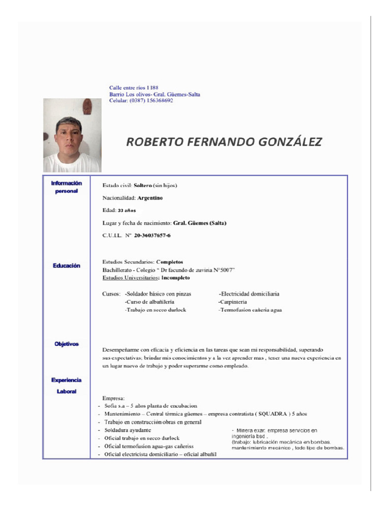 Cv Fernando Gonzalez.. | PDF