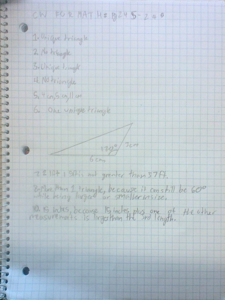 Unique Triangle Measurements Guide | PDF