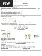 Ficha SOAP Pe Diabetico | PDF