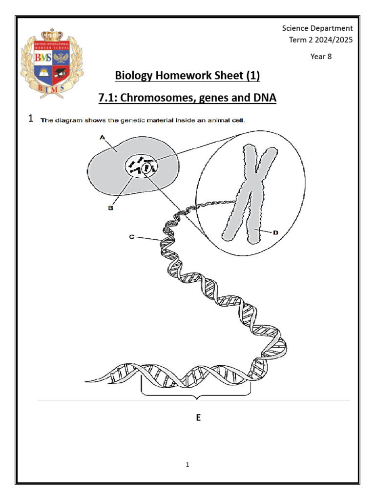 Bio Homework Sheet 1 | PDF