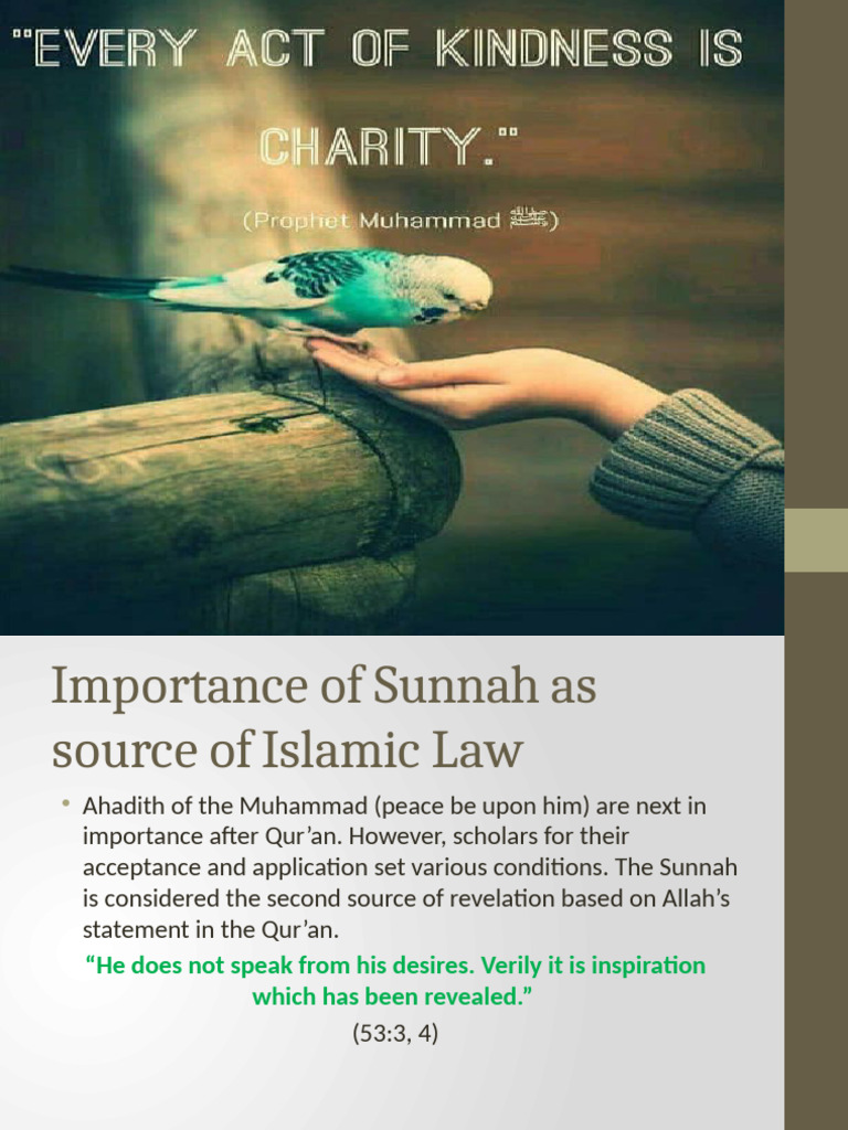 Significance of Sunnah in Islamic Law | PDF | Quran | Islam