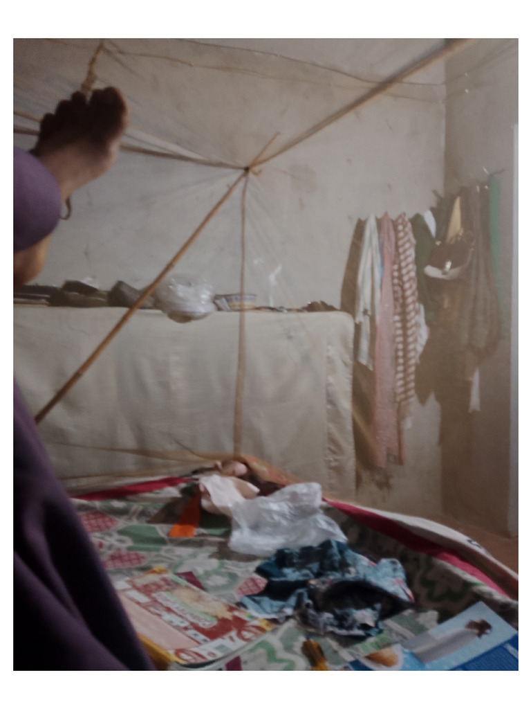 Img 20250312 233240 766 | PDF