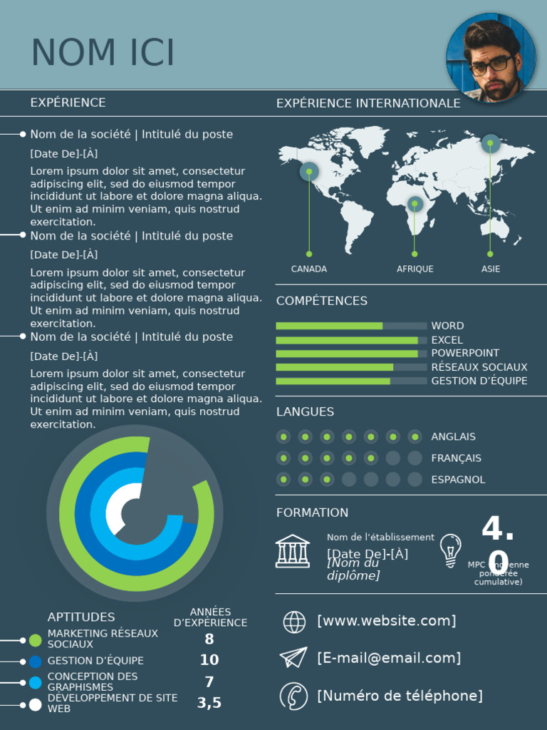 Infographie CV : Exemples et Conseils | PDF