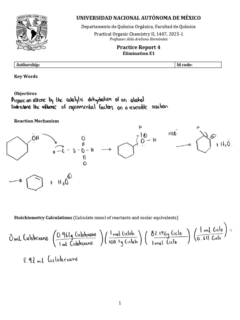Report Script P4 Elimination | PDF