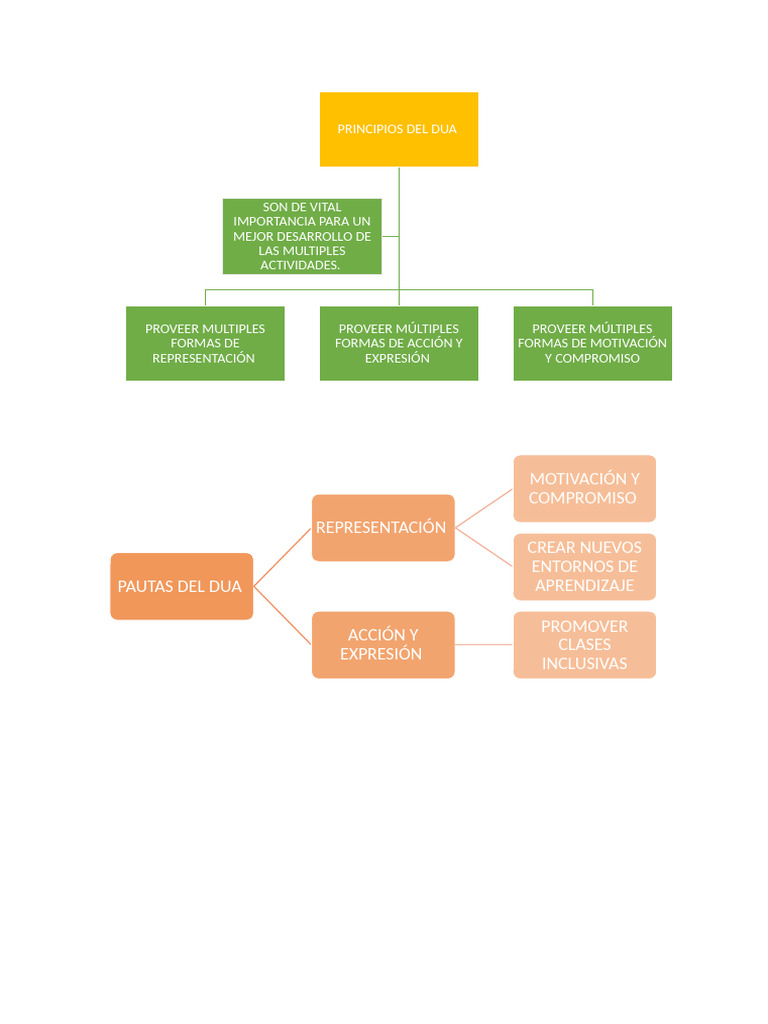 Mapa Conceptual Dua | PDF
