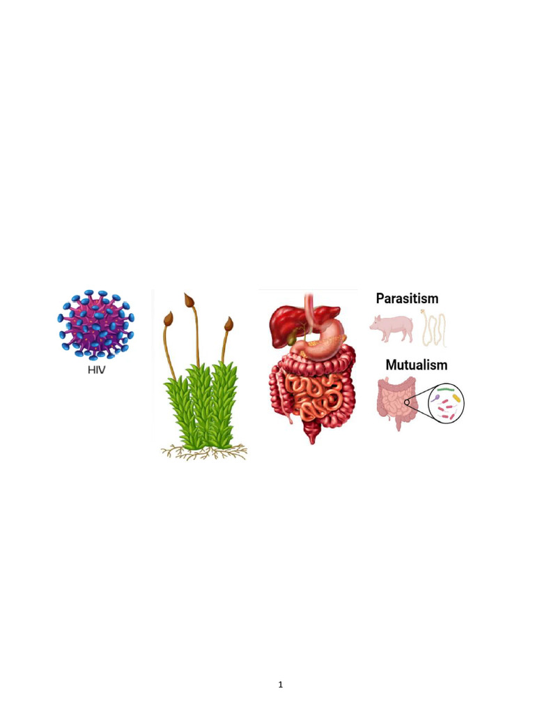 Grade 11 Animal Phyla Biodiversity Guide | PDF | Zoology