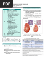 Hand X-Ray Projections Guide | PDF | Hand | Finger