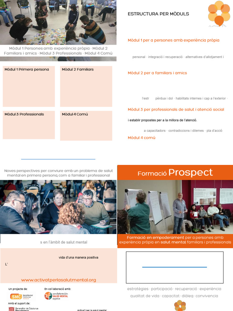 Díptic Prospect | PDF